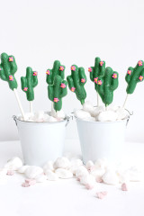 DIY SWEETS | Chocolate Cactus Lollipop - I SPY DIY