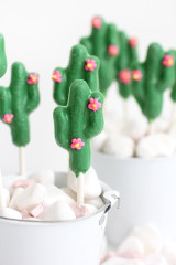 DIY SWEETS | Chocolate Cactus Lollipop - I SPY DIY