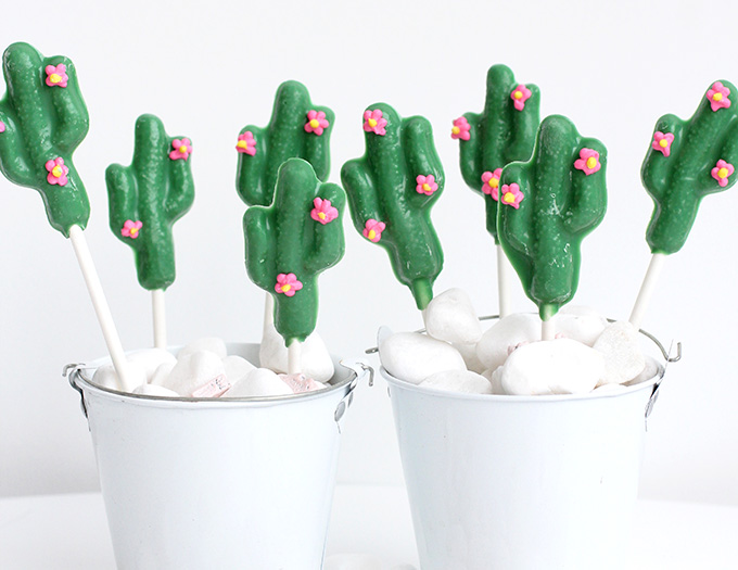 DIY SWEETS | Chocolate Cactus Lollipop - I SPY DIY