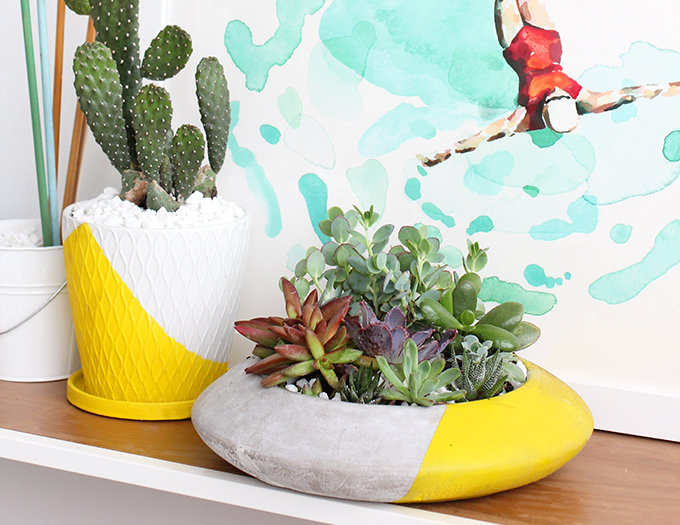 MY DIY | Colorblock Sunny Succulent Garden - I SPY DIY