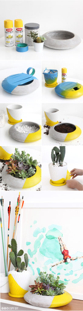 MY DIY | Colorblock Sunny Succulent Garden - I SPY DIY