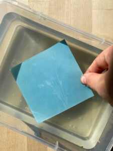 DIY Cyanotype Wildflower Art - I SPY DIY